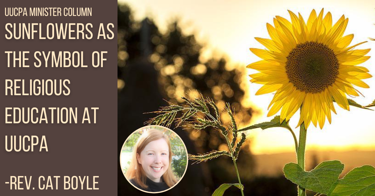 Minister’s Column: Sunflowers as the Symbol of Religious Education at ...