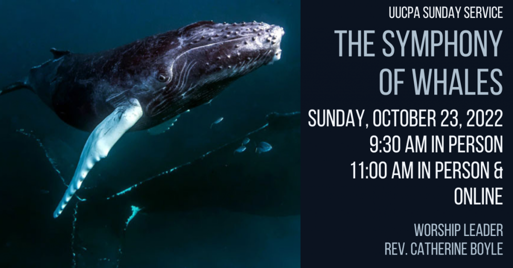 The Symphony of Whales – Unitarian Universalist Church of Palo Alto