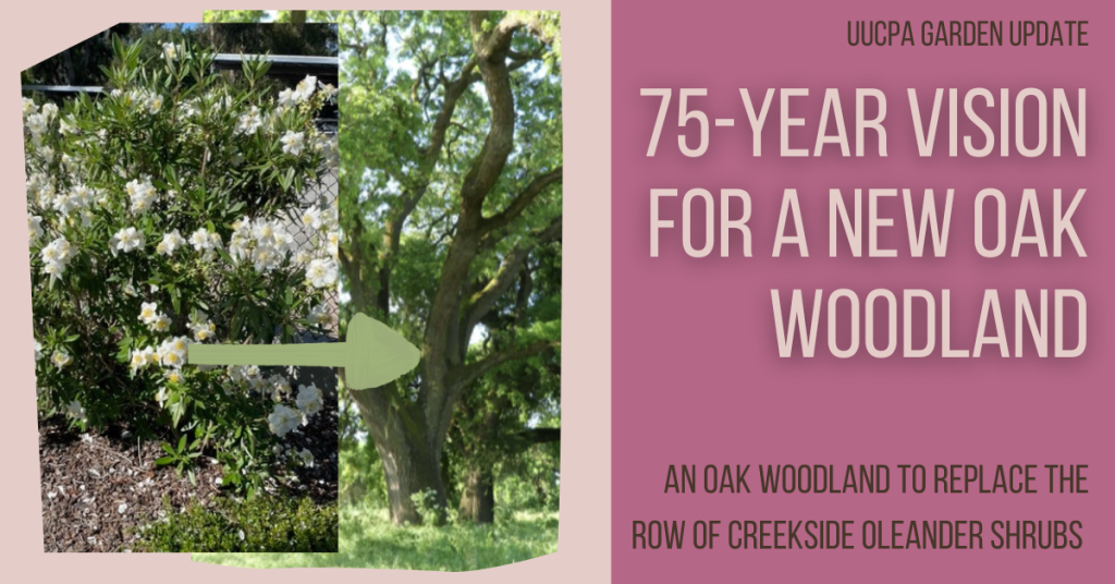 75-Year Vision for a New Oak Woodland – Unitarian Universalist Church ...