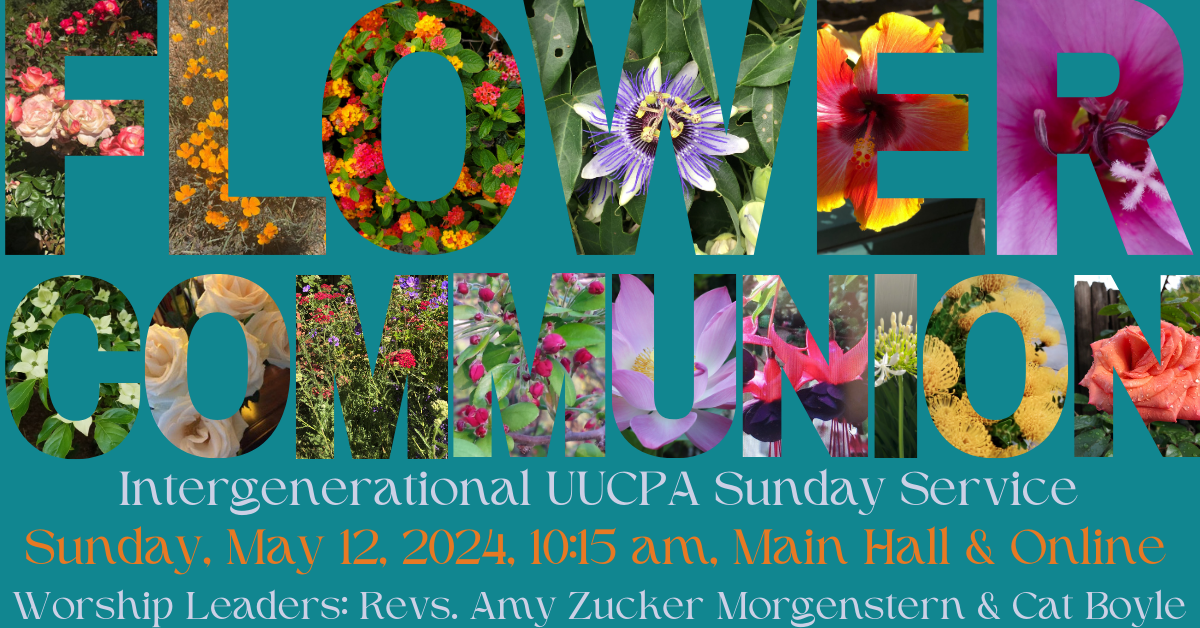 Look Closely: Flower Sunday – Unitarian Universalist Church of Palo Alto