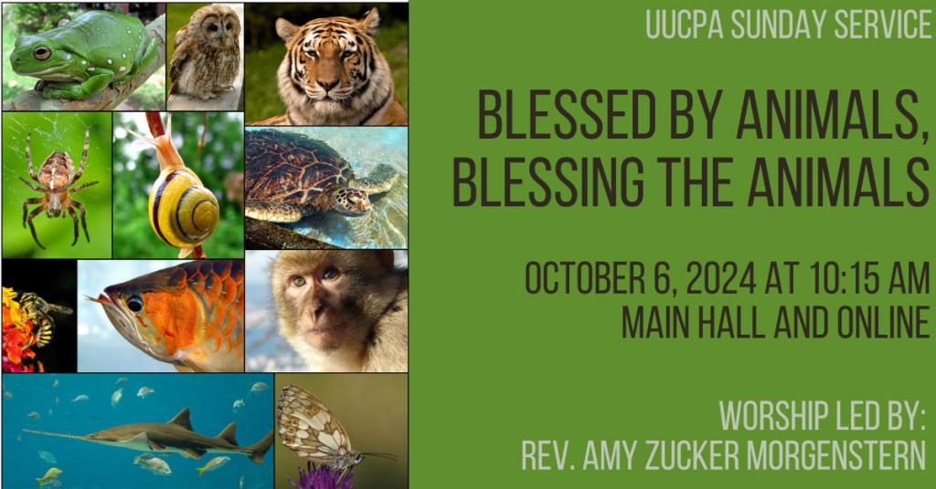Blessed by Animals, Blessing the Animals – Unitarian Universalist ...